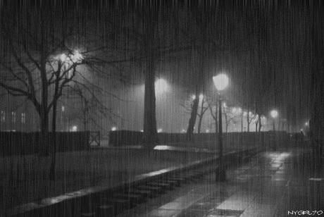 Rain at Night (in Animated GIFs)