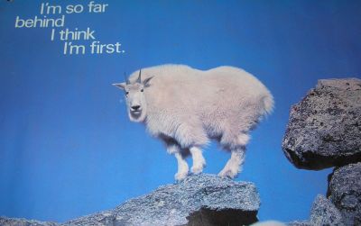 Glitter Graphics: the community for graphics enthusiasts!